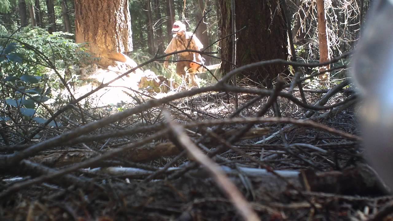 timber falling, so.oregon - YouTube
