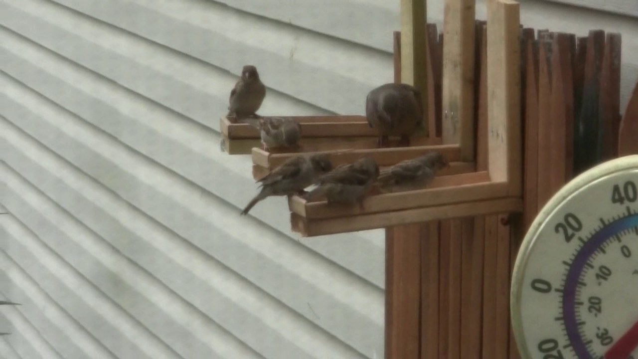 Nature! With unfitting music [06.07.2017] - YouTube