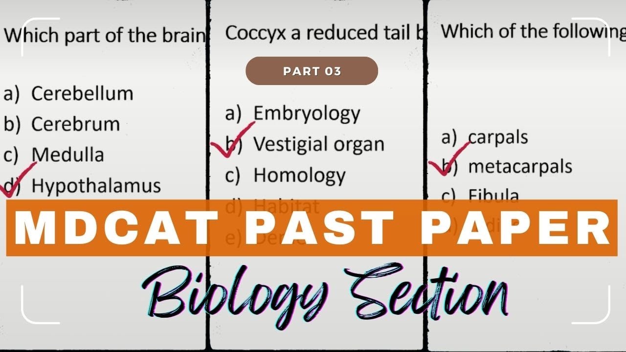 MDCAT Biology Past Paper With Key & Detailed Explanation | Part - 3 ...