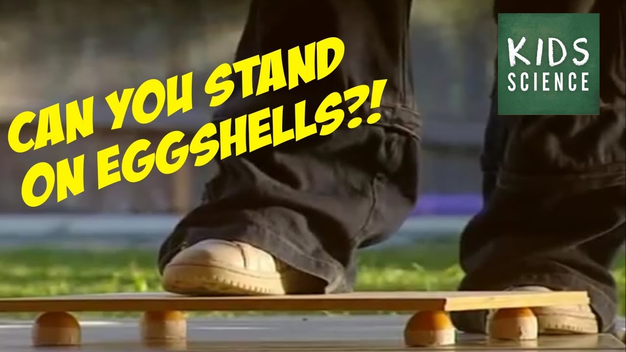Can You Stand On Eggshells? (experiment for kids!) - YouTube