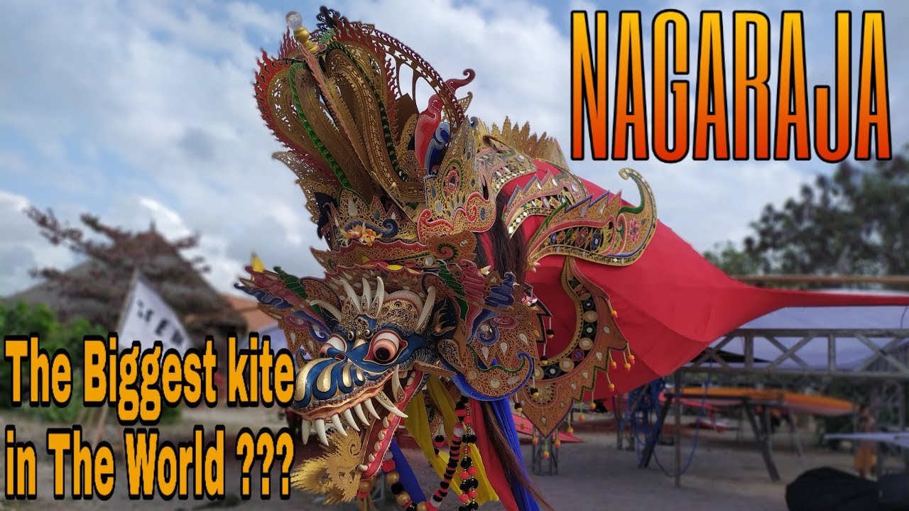 NAGARAJA || The Biggest Kite in The World || 2019 - YouTube