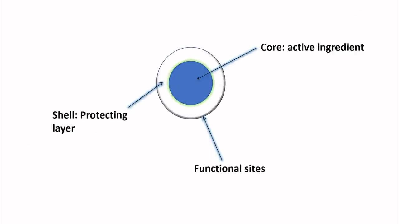 functional core-shell hybrid nanocomposites - YouTube