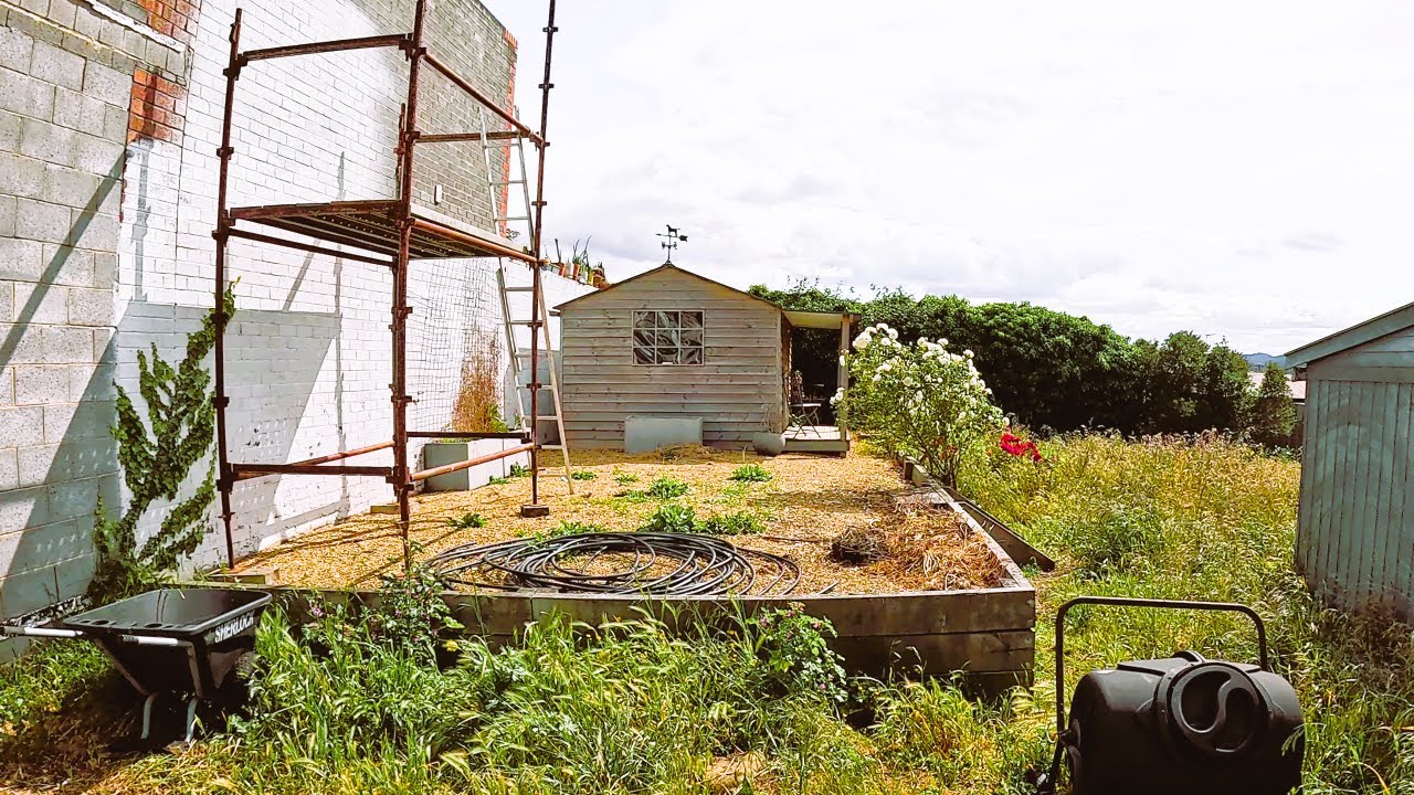 This is What Happens When You Let The Weeds Take Over Your Yard! - YouTube