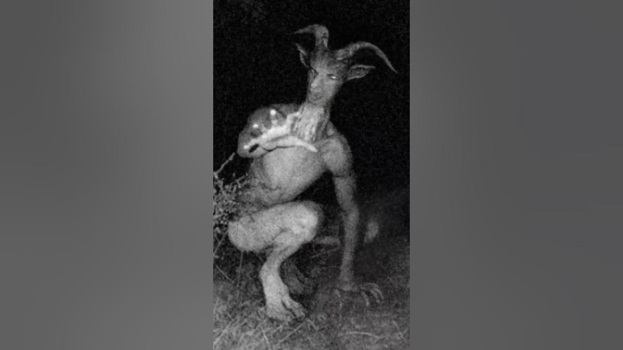The Terrifying Legend of the GOATMAN #shortsvideo - YouTube