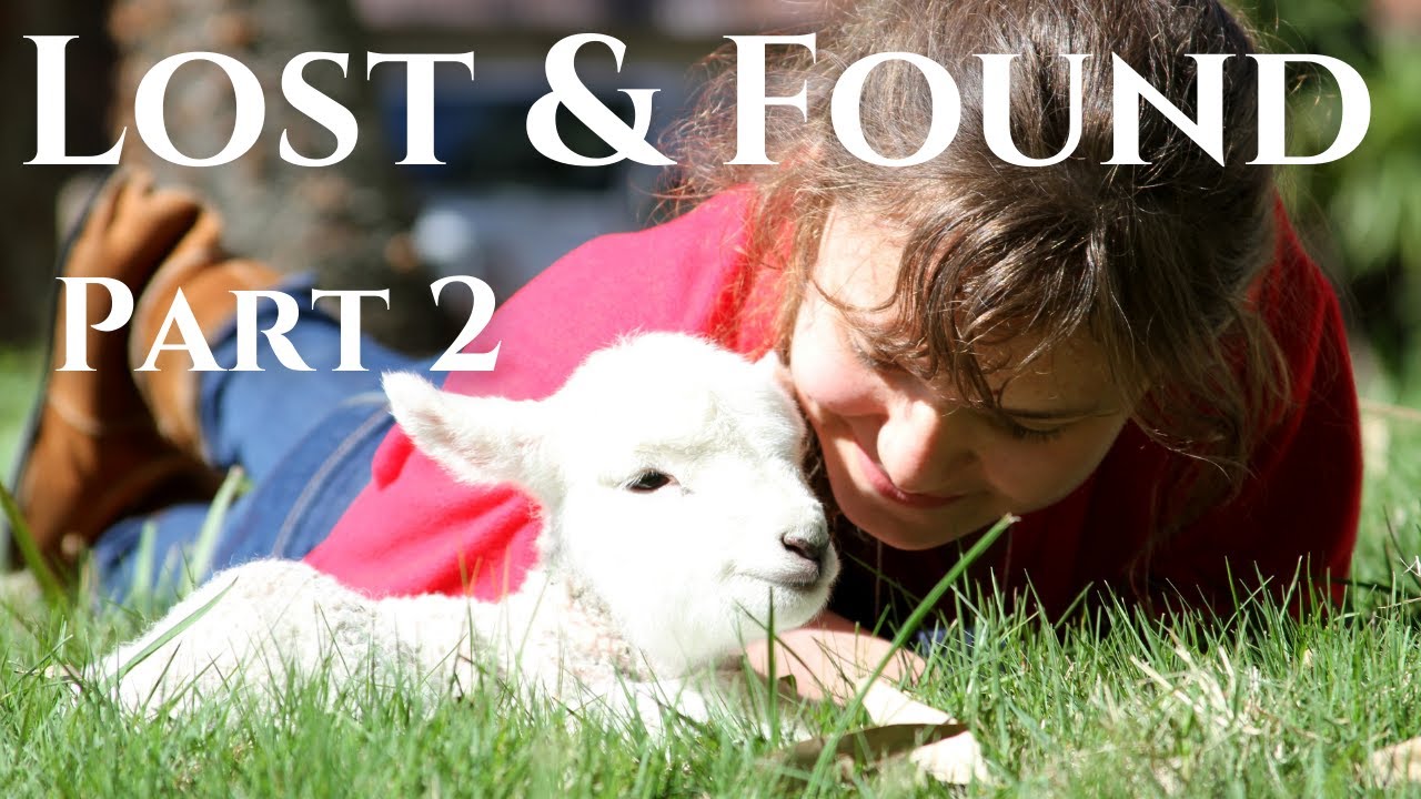 Lost and Found Part 2 Savoring Life Video 4 - YouTube