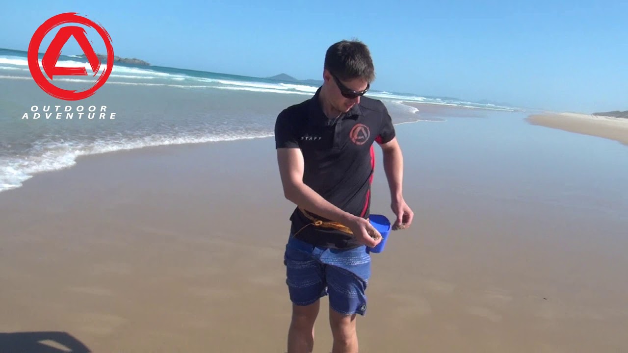 Outdoor Adventure Fishing Tips 04 Catching Beach Worms - YouTube