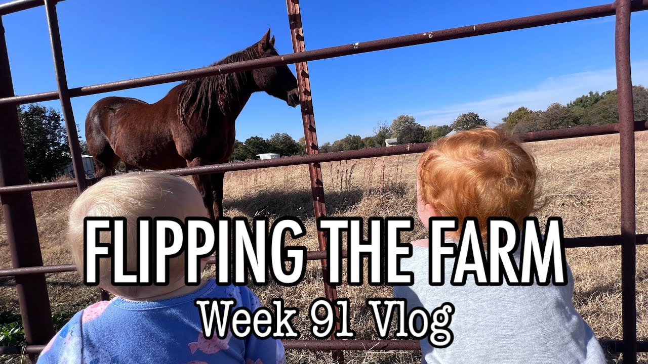 FLIPPING the FARM | Week 91 Vlog - YouTube
