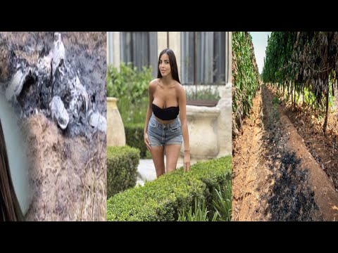 qui est sonia bellina, sonia bellina tiktok 🤔 sonia bellina disparition: sonia bellina influenceuse