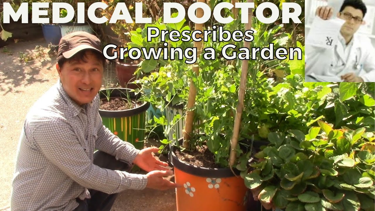 Medical Doctor Prescribes Growing a Garden to Prevent & Treat Disease ...