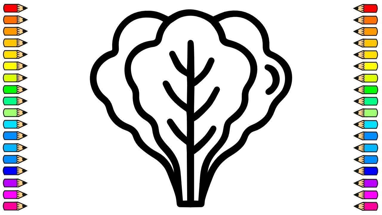 Cómo dibujar una LECHUGA / Dibujo de LECHUGA paso a paso / Dibujos para ...