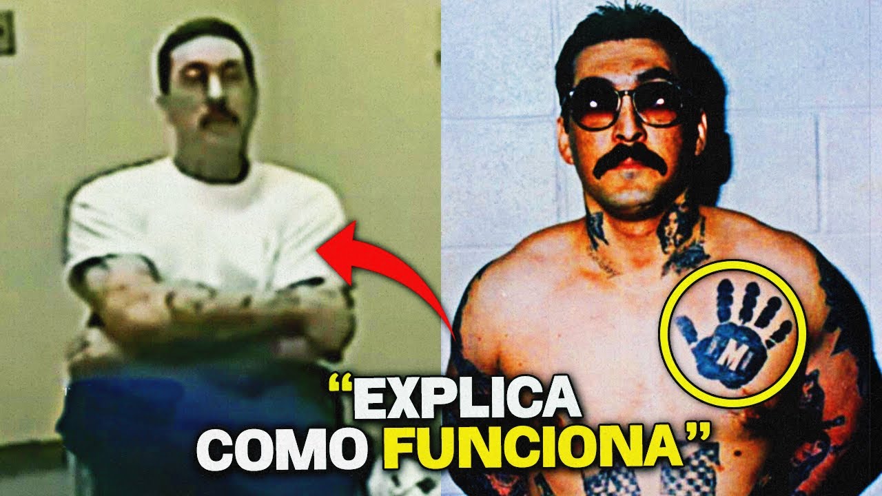 El Brutal Ascenso de la Mafia Mexicana - La Eme - YouTube