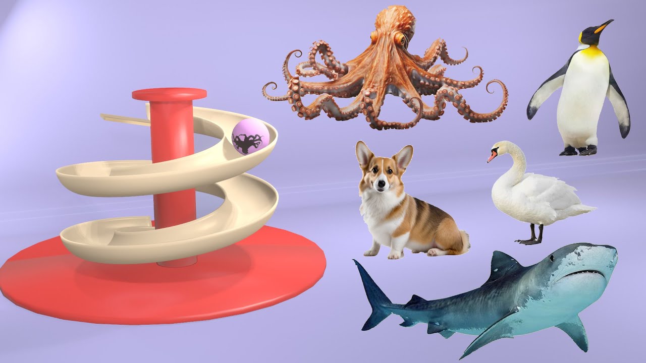 Learn Animal with Slide | Octopus Penguin Whale Goose Dog - YouTube