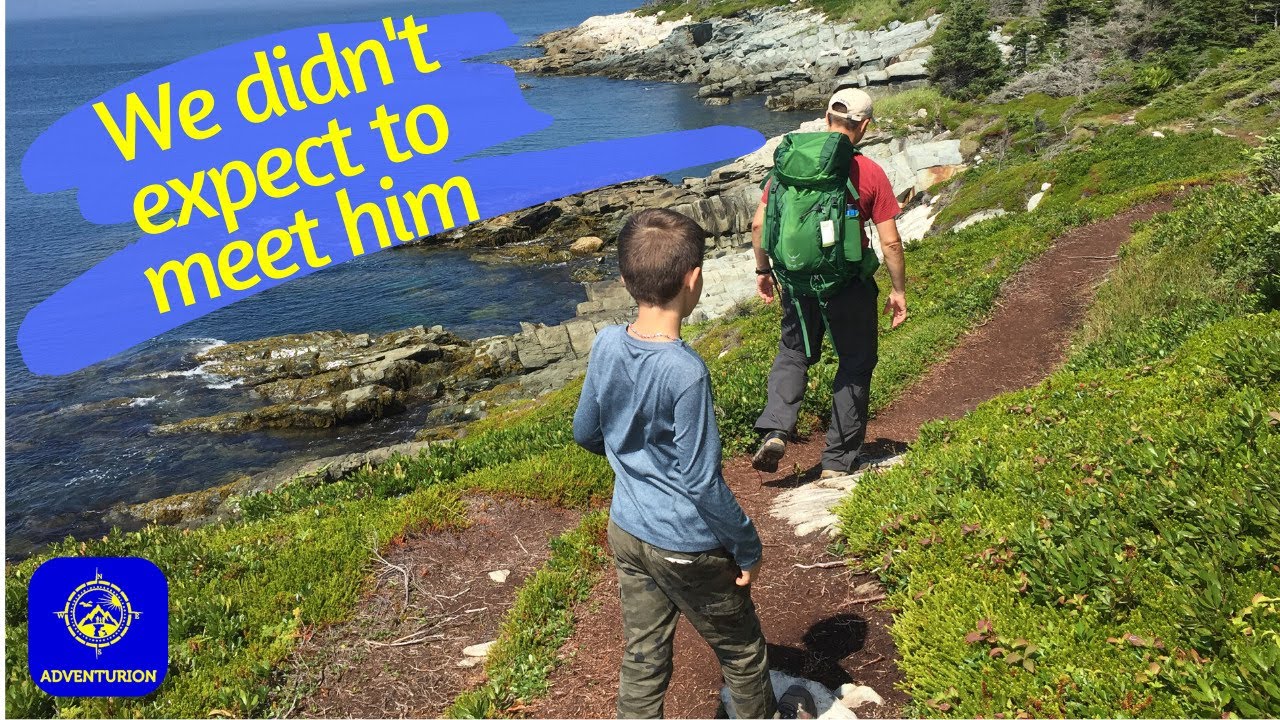 Taylor Head Provincial Park | Nova Scotia | Hiking Trail Guide - YouTube