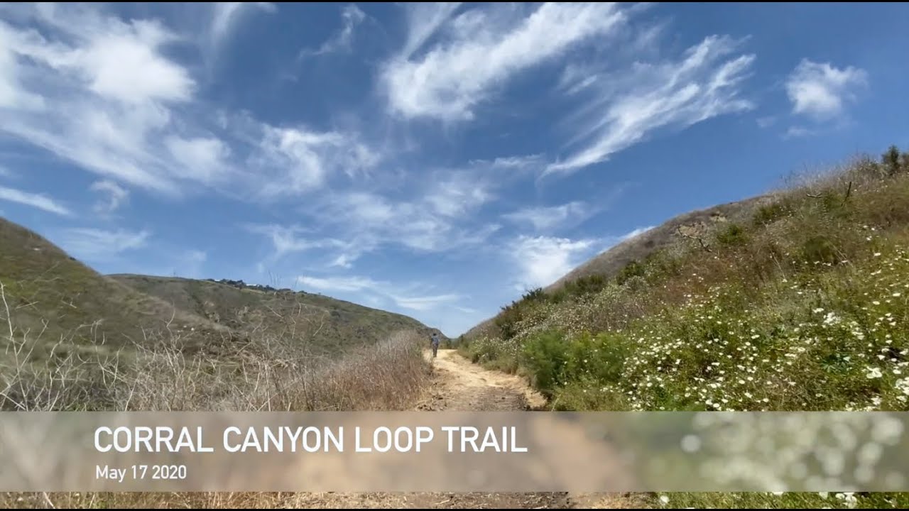 Corral Canyon Loop Trail in Malibu (Virtual Hike) - YouTube