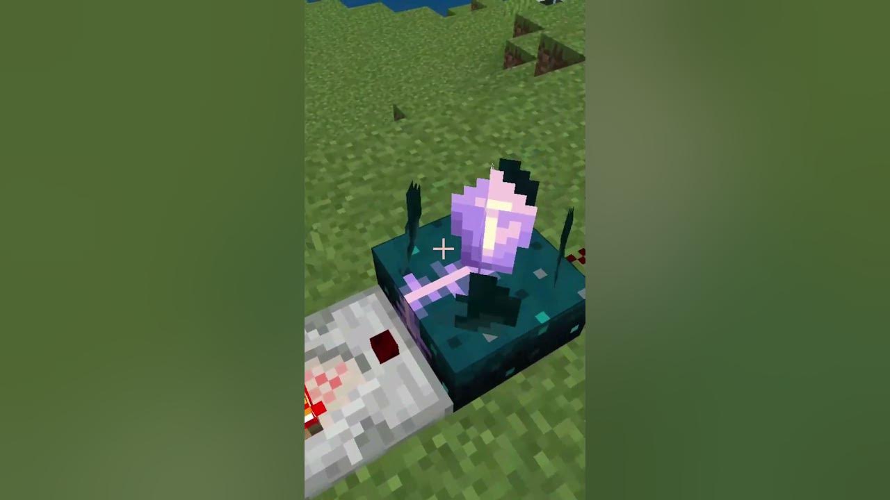 How to Use The Calibrated Sculk Sensor In Minecraft - YouTube