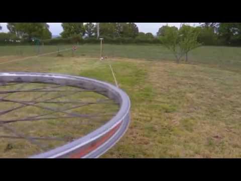 Staffordshire bull terrier - Festy Trackmill - YouTube