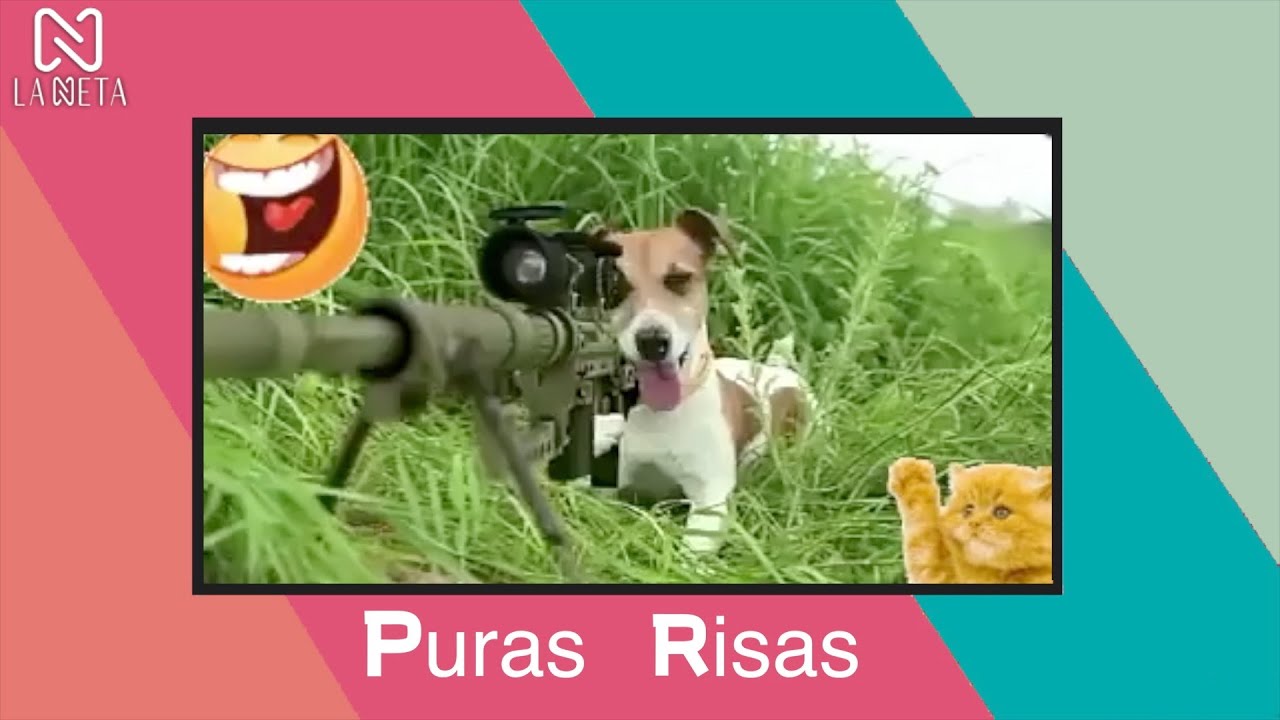 Los videos más divertidos de KWAI 2021 - YouTube