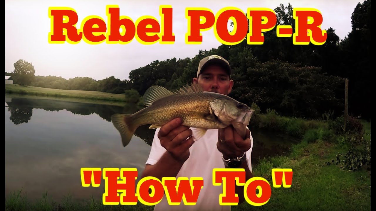 Rebel Pop-R "How To" - Summer Time Pond Bass Fishing - YouTube