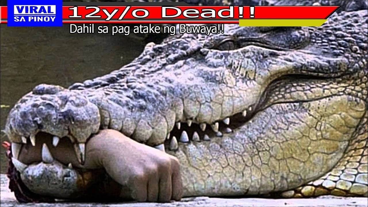 12 yr old girl victim of crocodile attack! - YouTube