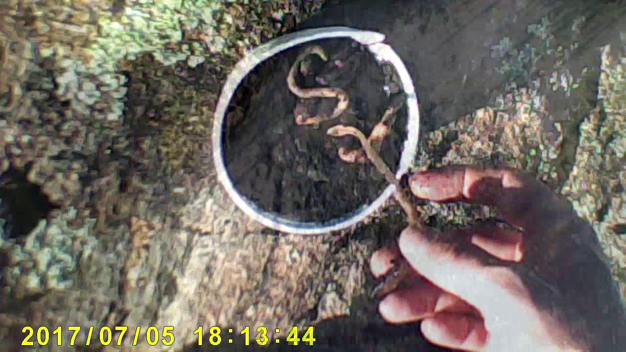 Fishing In Kosh Lake!!! TOO TANGLED TO CONTINUE!!! - YouTube