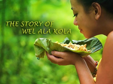 අල කොළ මාලුව [ Village cooking ] Ala kola curry | Ala kola maluwa ...