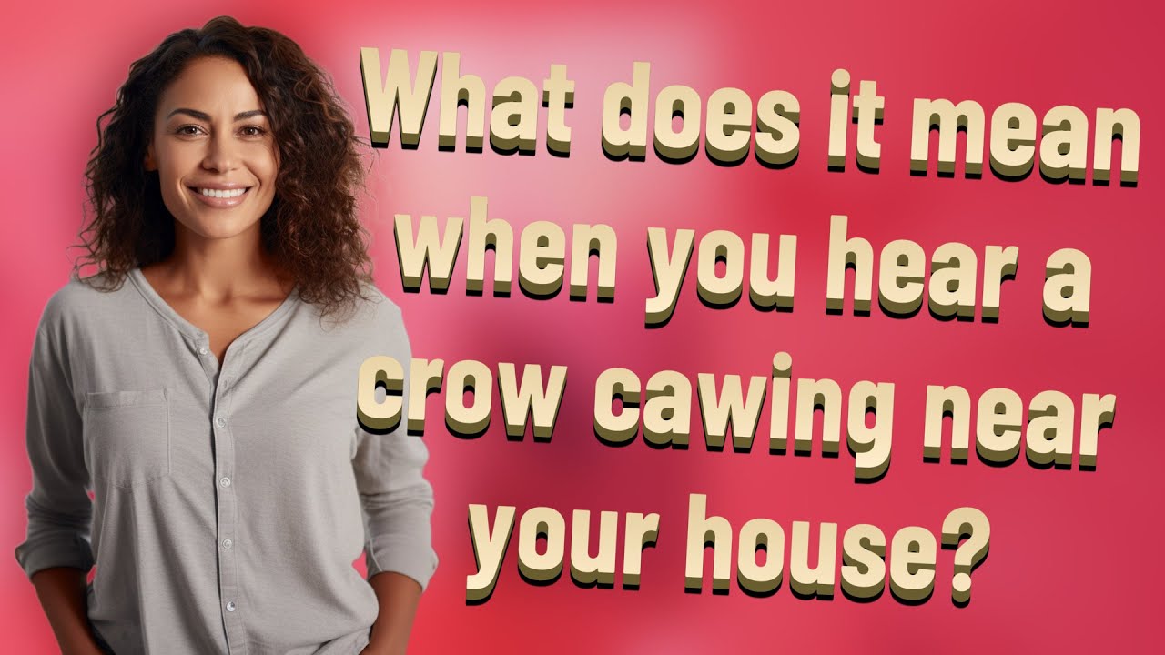 What does it mean when you hear a crow cawing near your house? - YouTube