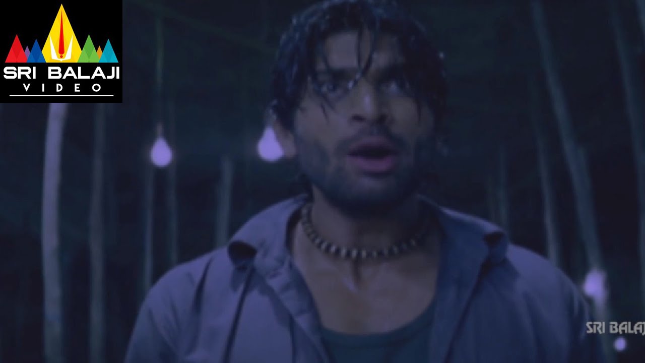 Gharshana Movie Venkatesh Chasing to Panda Scene | Venkatesh, Asin ...