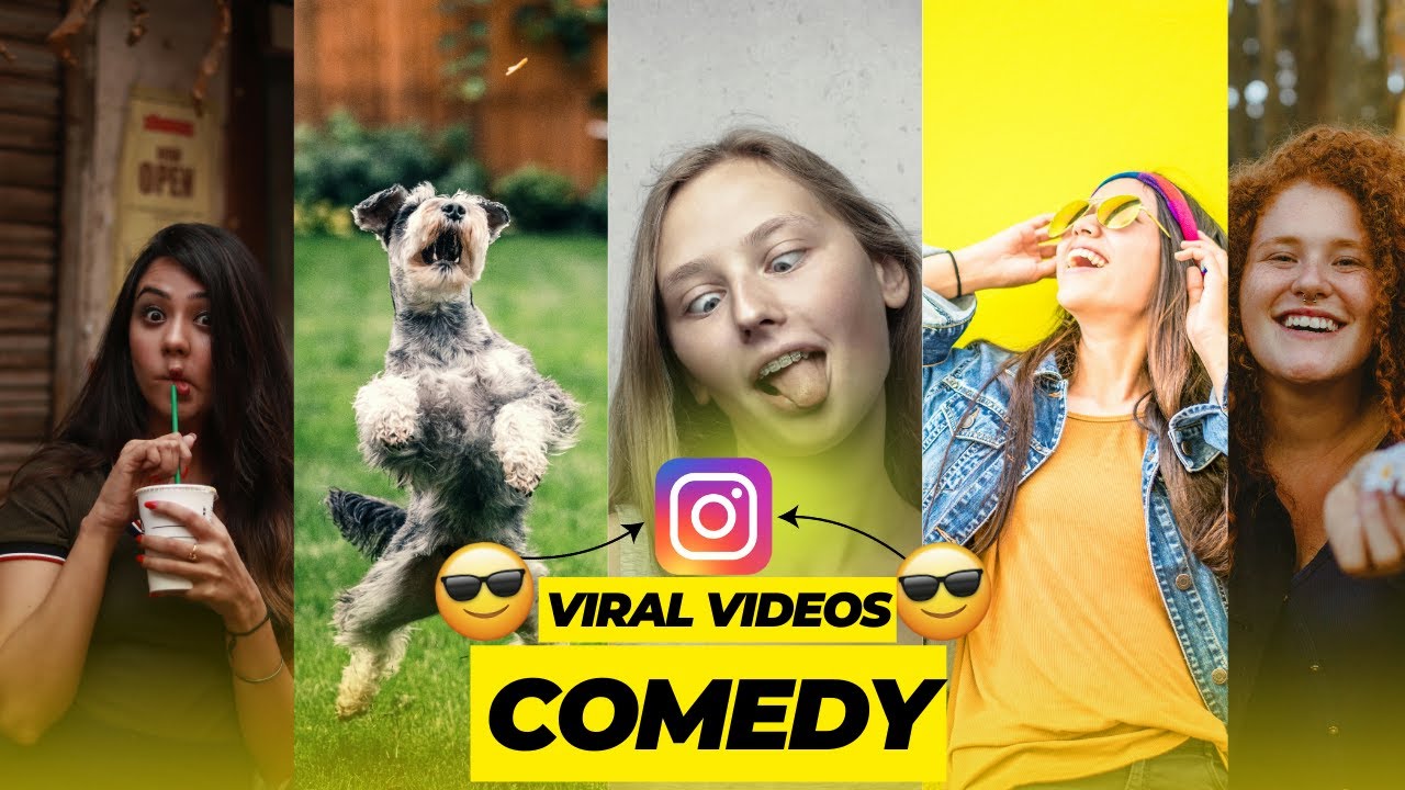 TOP 15 FUNNY REEL VIDEOS - YouTube