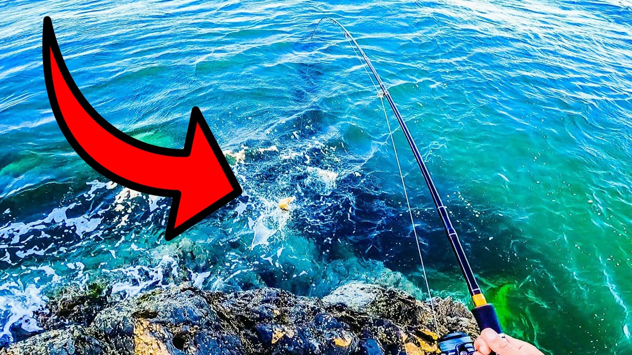 THE WEIRDEST BITE I’VE EVER HAD!! INSANE UK SEA FISHING!🐟 (4K) - YouTube