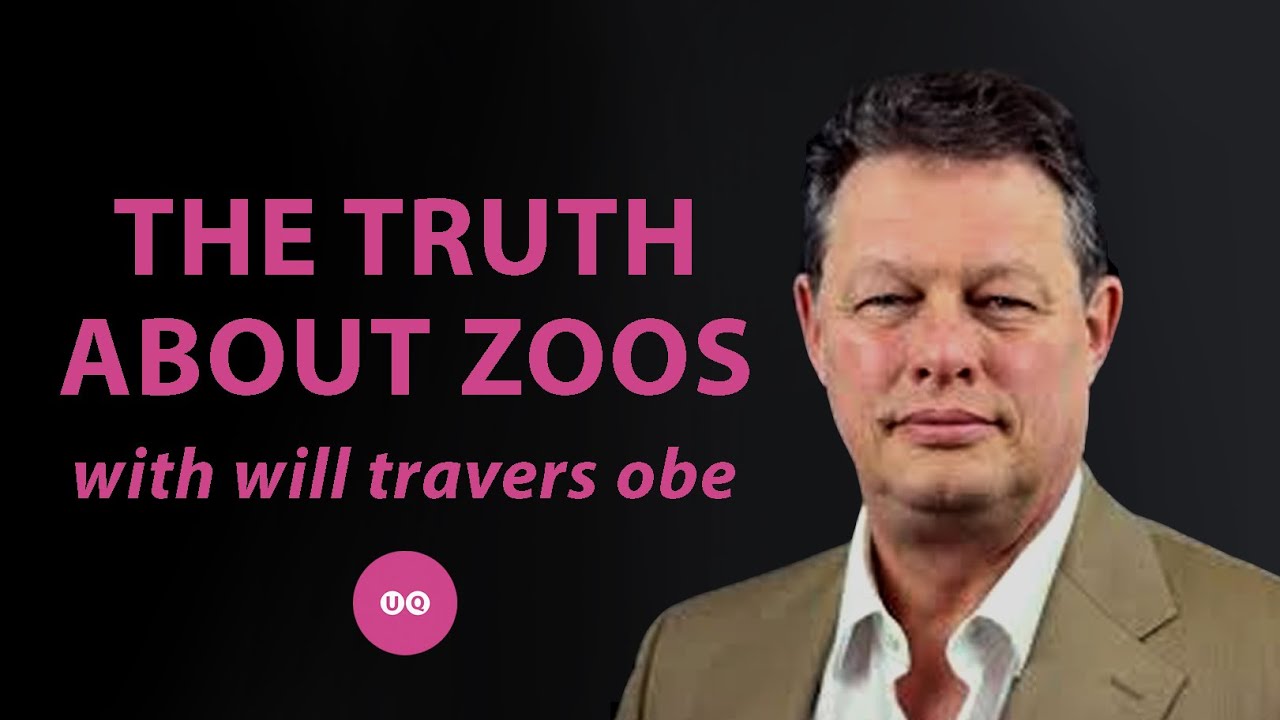 Will Travers: The Reality of Zoos, How to Enjoy Wildlife Ethically, The ...