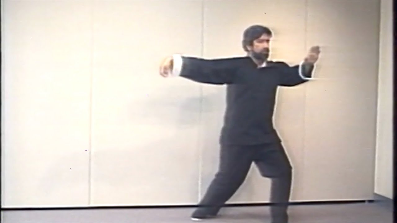 Complete 37 Yang Tai Chi Form - Front View - YouTube