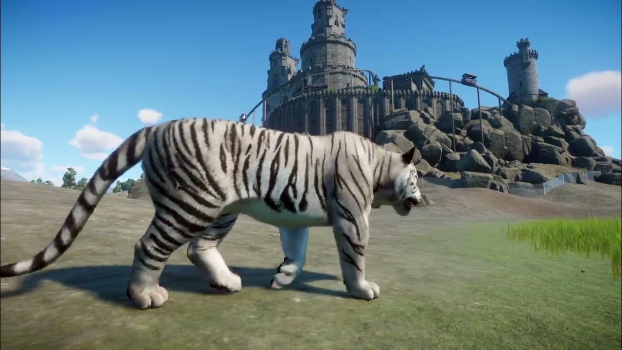 Albino Bengal Tiger | Planet Zoo Animals - YouTube