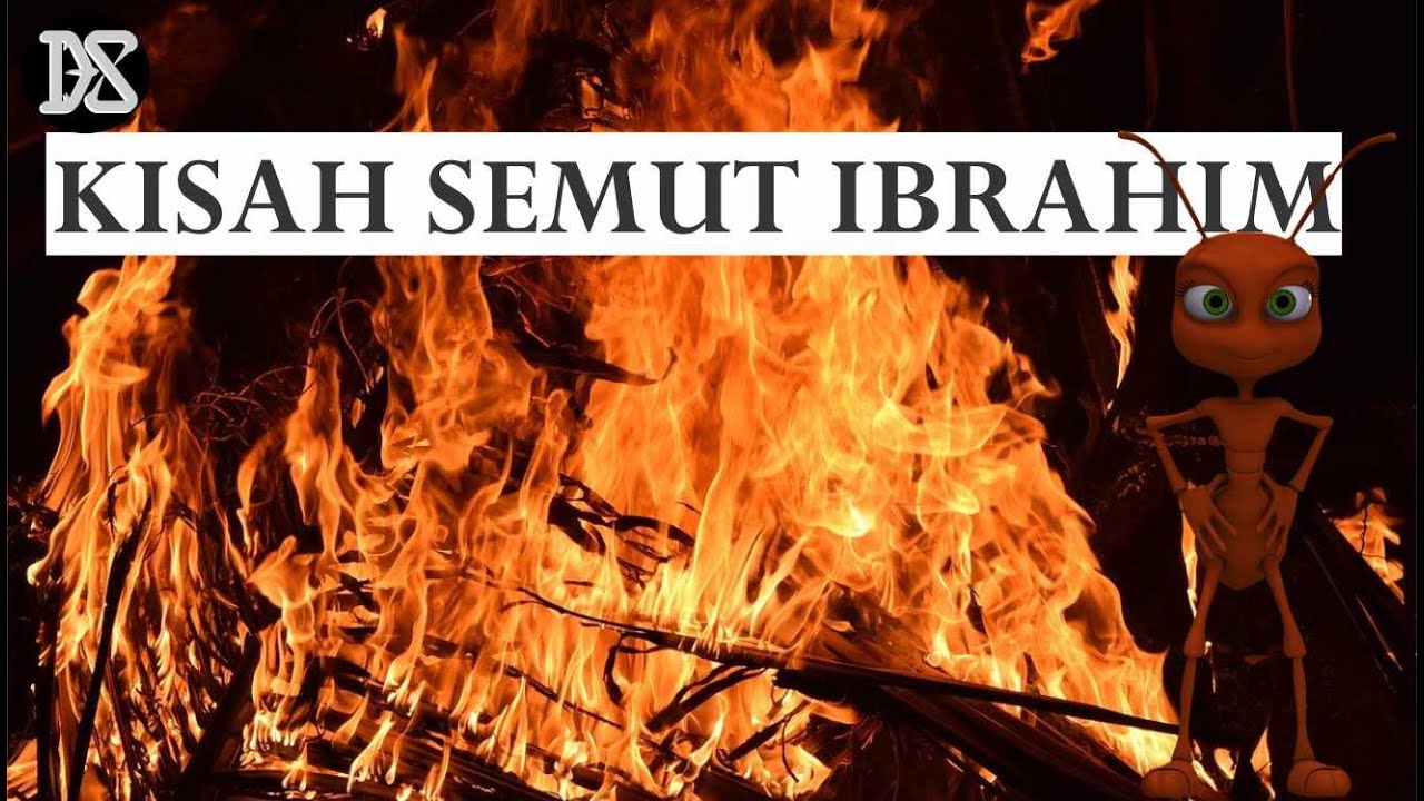KISAH SEMUT IBRAHIM MENOLONG NABI IBRAHIM, KISAH INSPIRATIP, BERAMAL ...