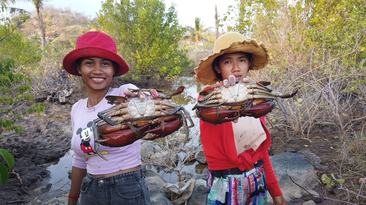 Amazing Catching Huge Mud Crabs at Swamp after Water Low Tide - YouTube