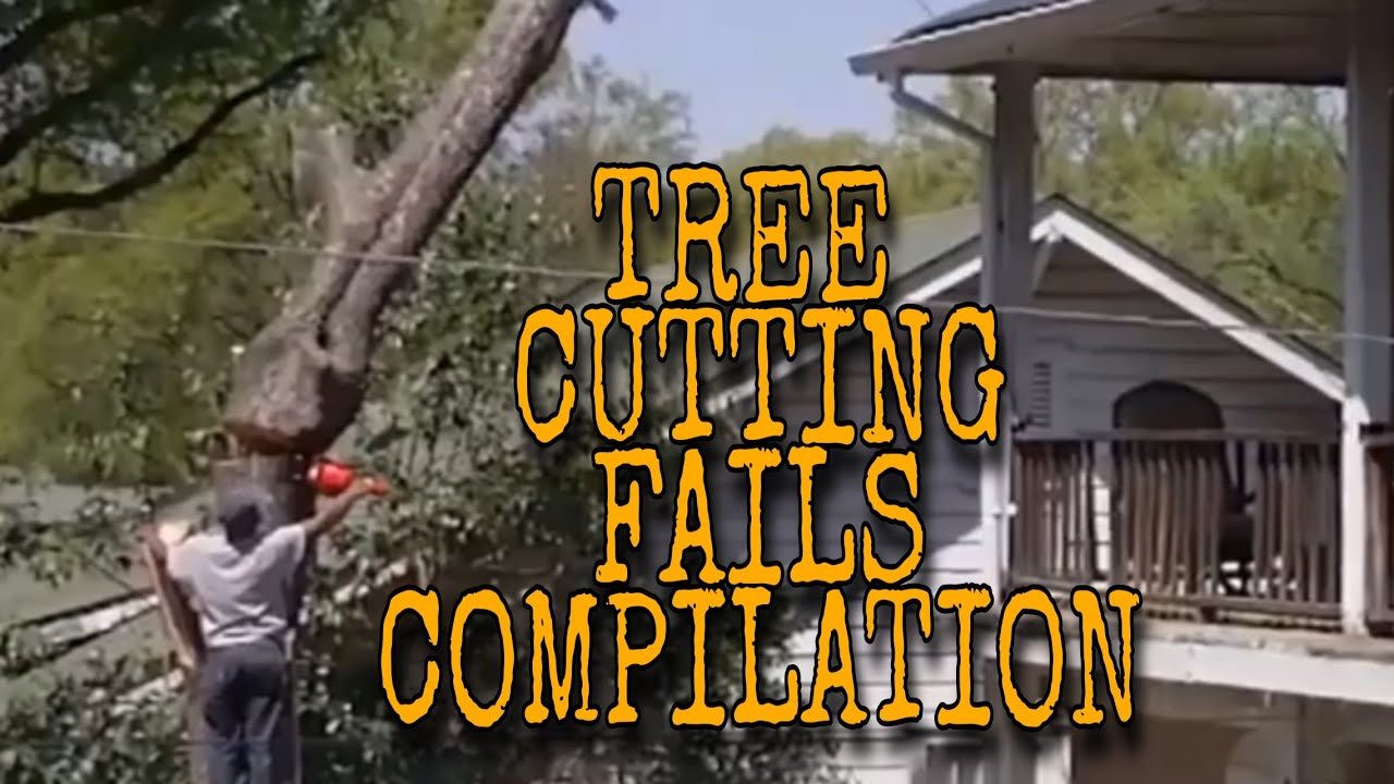 TREE CUTTING FAILS COMPILATION | VERY DANGEROUS - YouTube