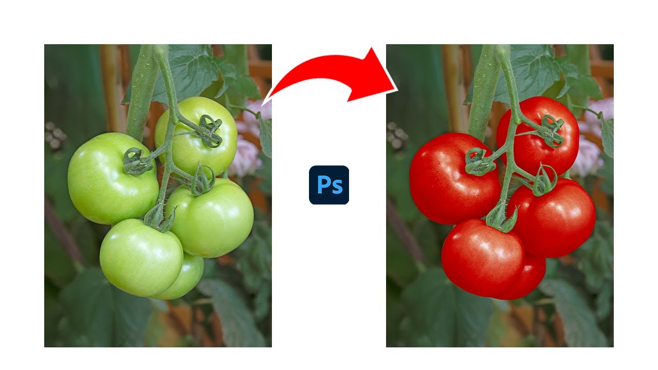 The Quickest Way on How to RIPEN a GREEN TOMATOES in Photoshop! - YouTube