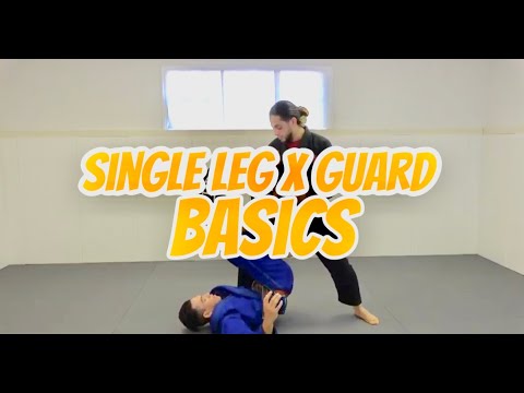 Single Leg X Guard Basics
