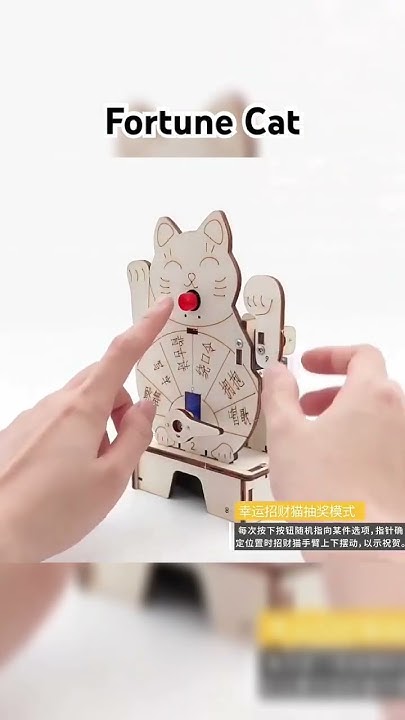 Fortune Cat |C4L Wooden Coding Robot #steam #robotics #stemeducation #arduino #diy #robot - YouTube