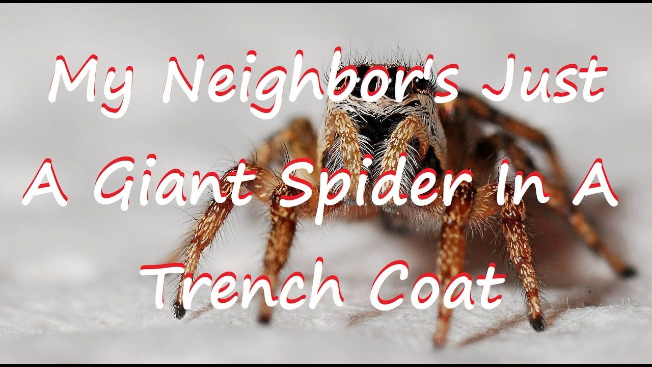 "My neighbor's just a giant spider in a trench coat" Creepypasta - YouTube