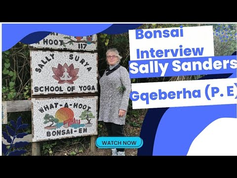 Bonsai garden visit: Sally Sanders - YouTube