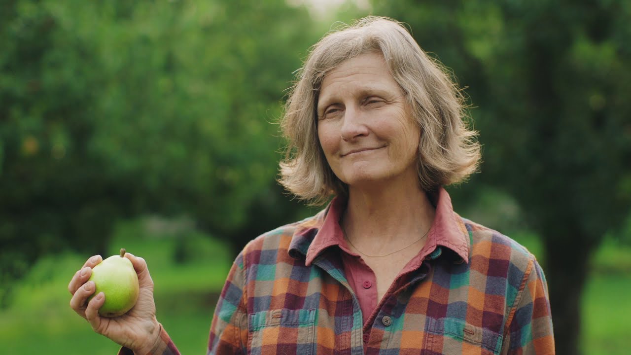 Pear Growers Describe the Green Anjou - YouTube