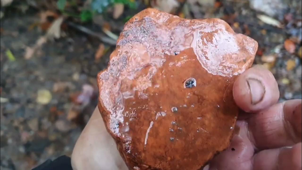 mudlarking turns into mini bottle dig at a new site amazing treasures found - YouTube