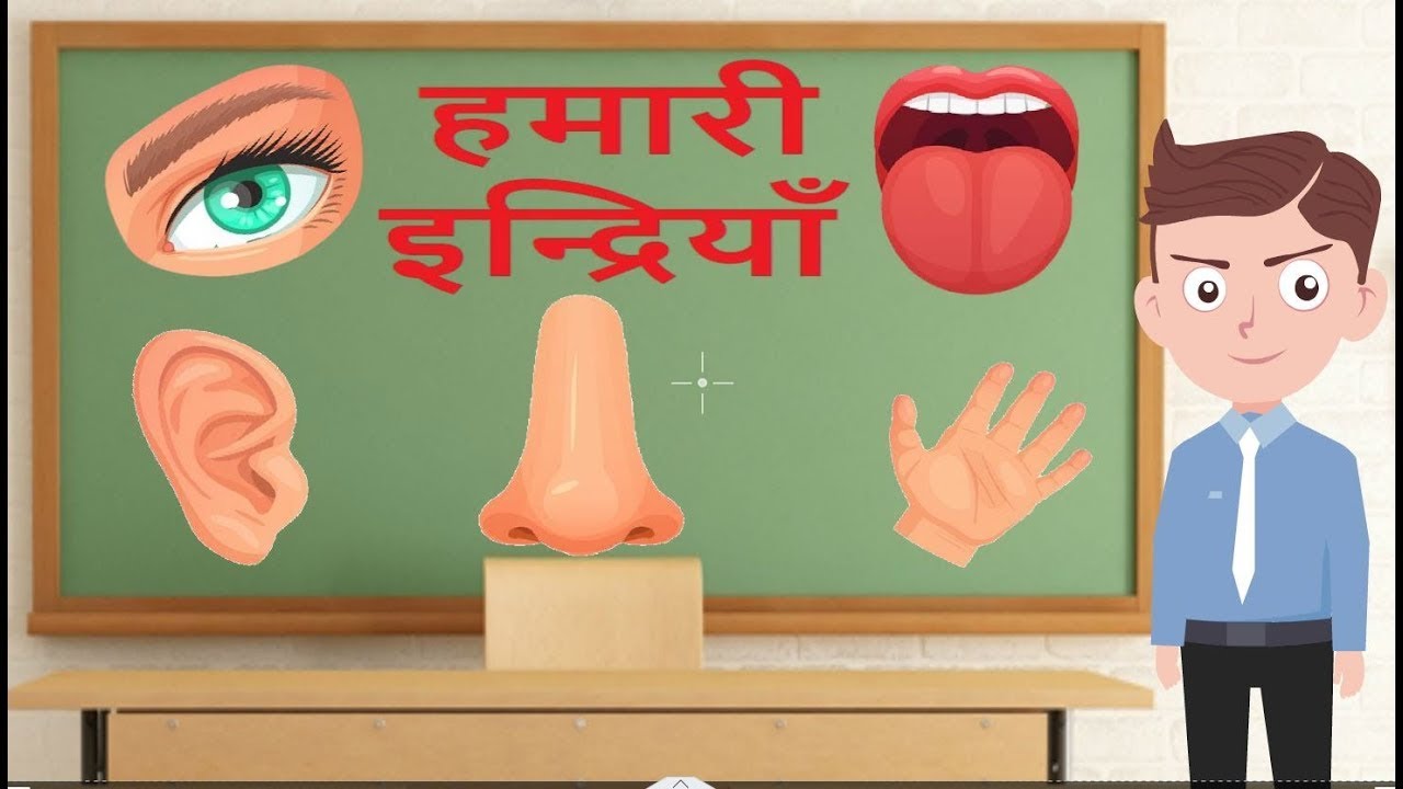 SENSE ORGANS IN HINDI CLASS 1 KIDS VOCABULARY NCERT EDUCATIONAL VIDEO sense-organs-in-hindi-class-1-kids-vocabulary-ncert-educational-video
