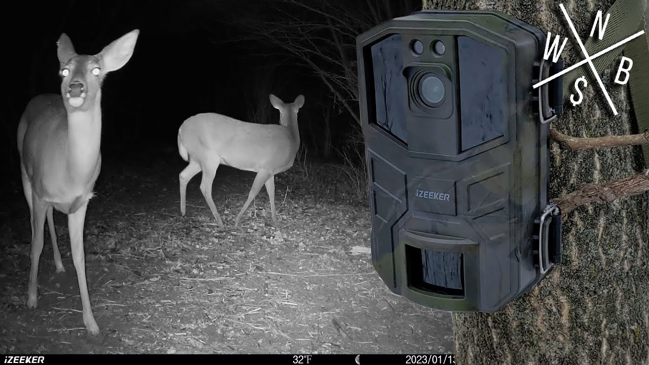 iZEEKER 4K Trail Camera - Unboxing & Review - YouTube