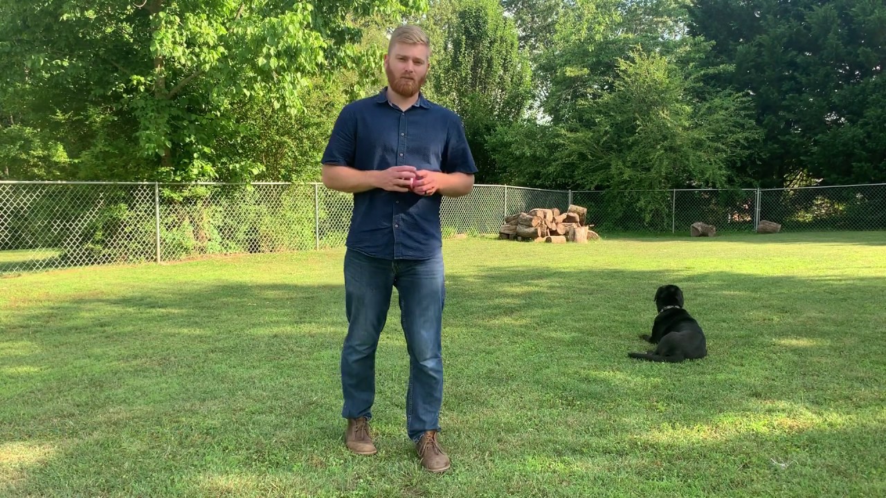 10 week post fho surgery walking recovery - YouTube