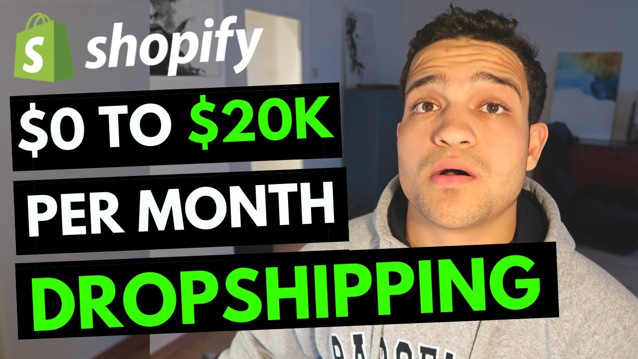 $0 - $20K A Month Shopify Dropshipping (PROFIT Revealed) | Success ...