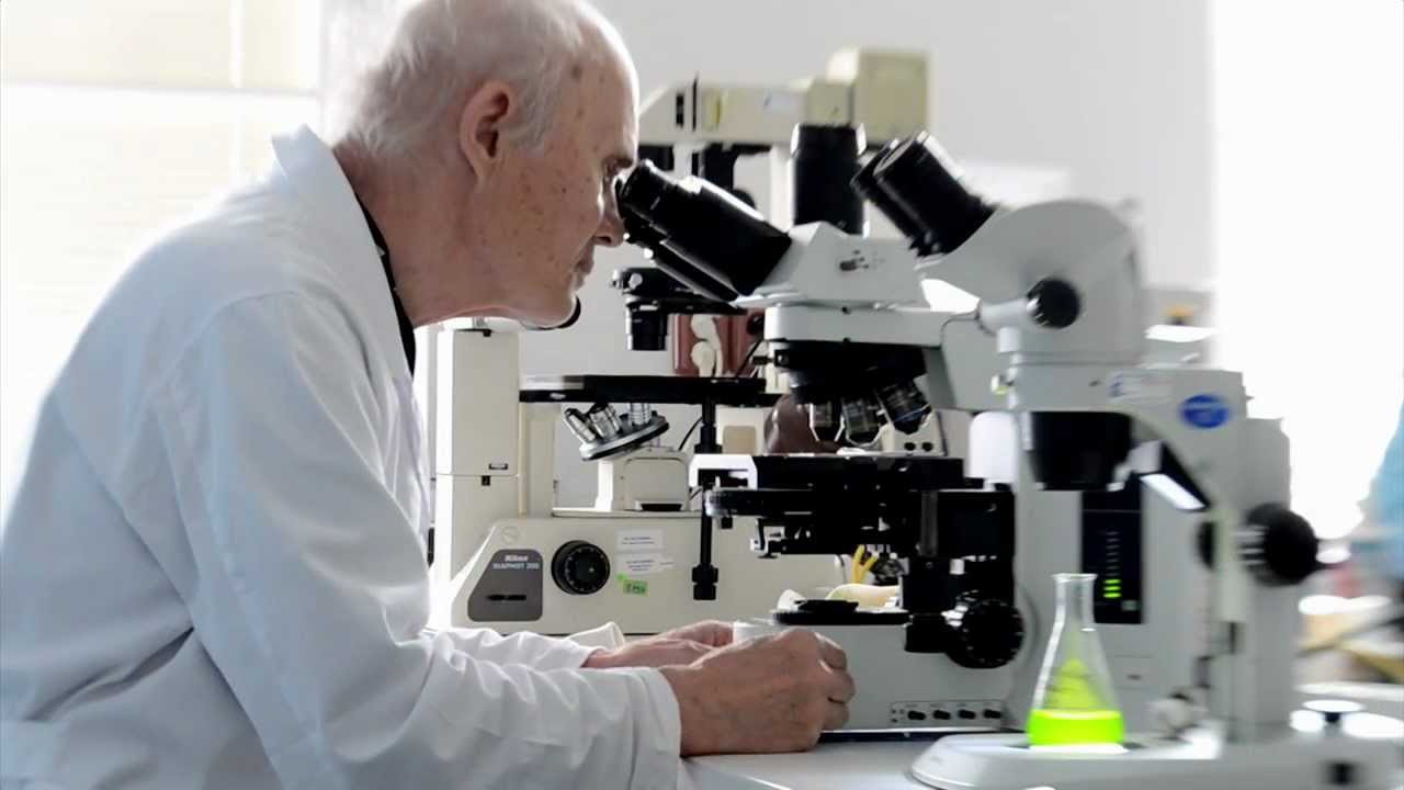 Řasy jsou také rostliny - YouTube