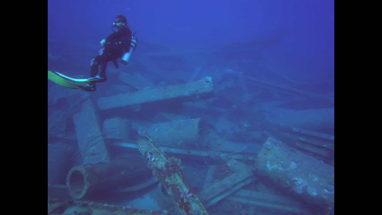 Shark at Armageddon - YouTube