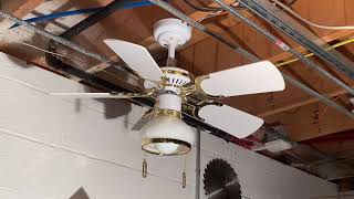 Encon Princess Ceiling Fan | Shelly Lighting