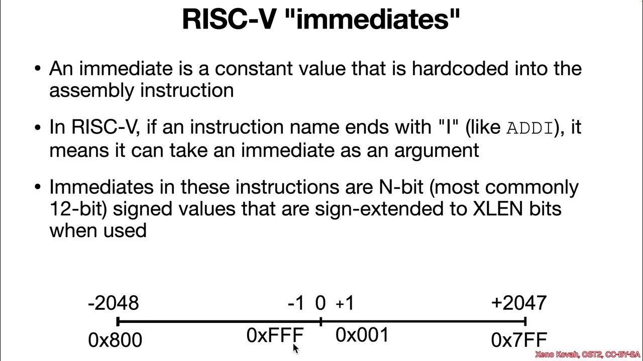 Arch1005: RISC-V Assembly 02 NOP - YouTube